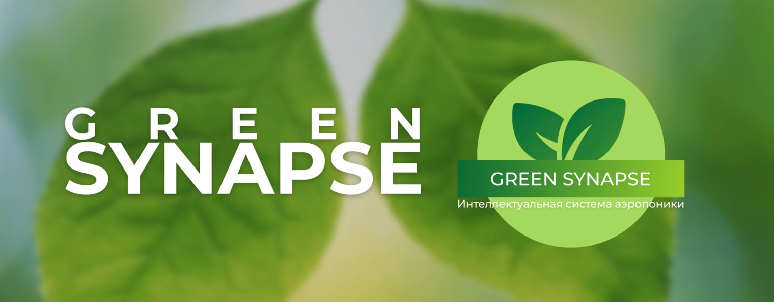GREEN SYNAPSE