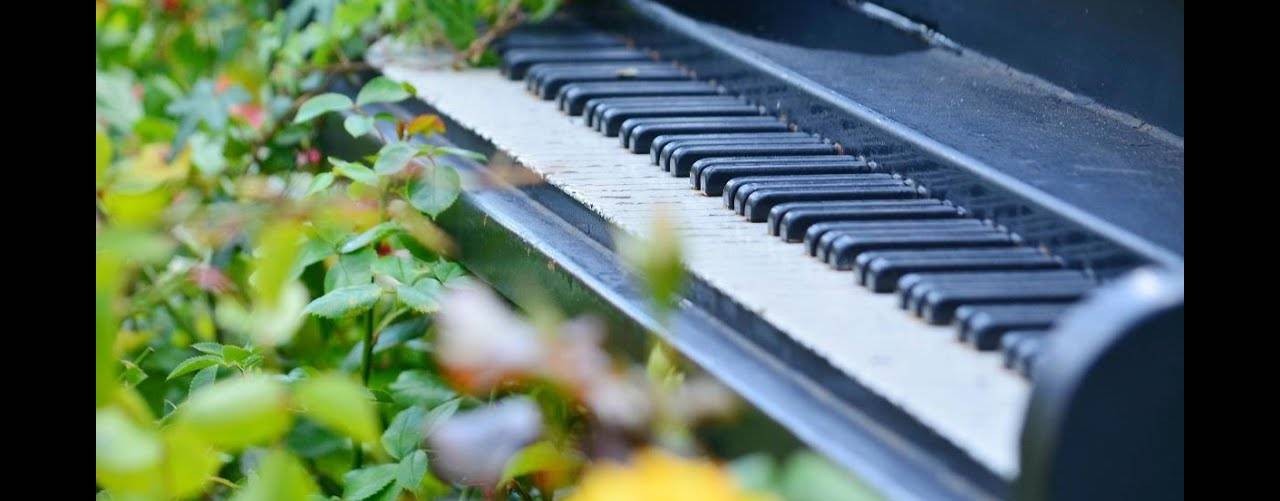 Рояль в лесу