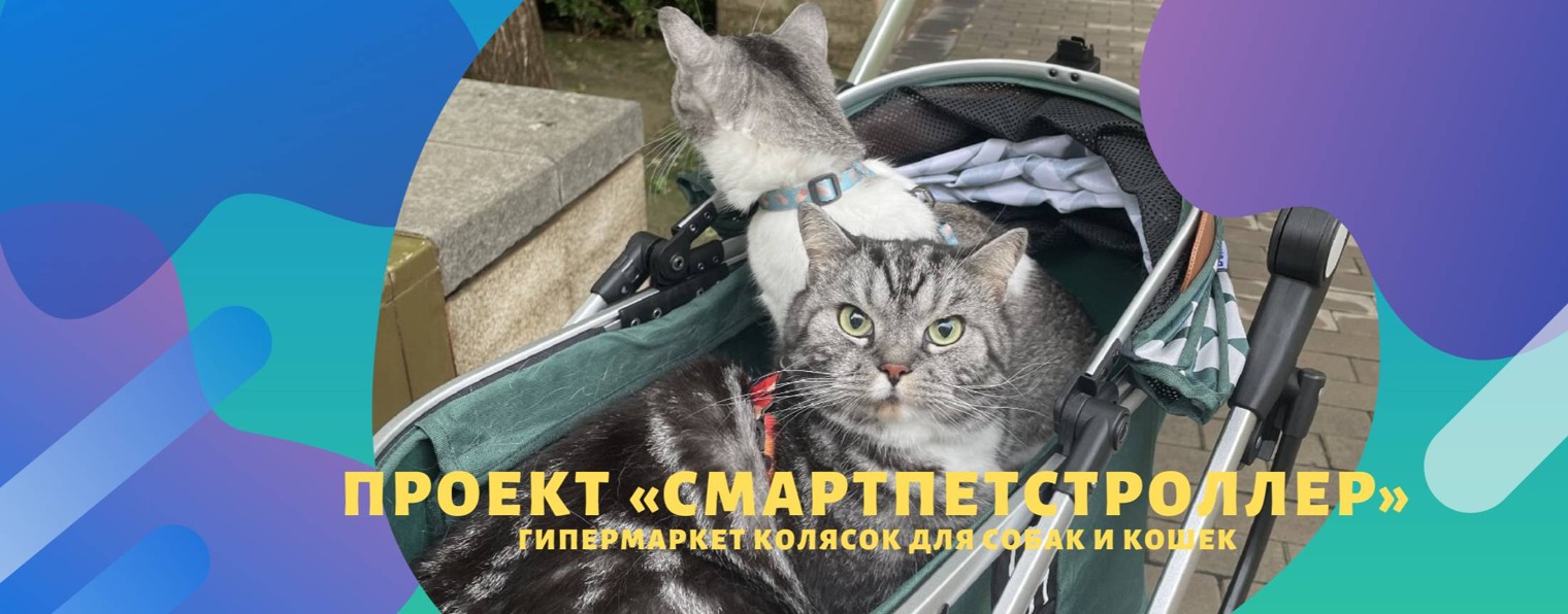 Проект «СмартПетСтроллер»