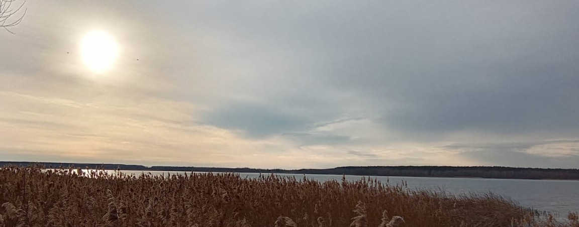 Ольга Чернова