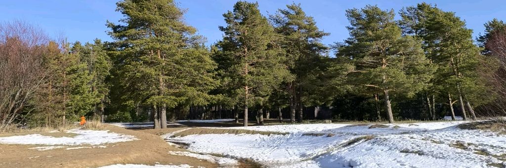 Оркестровая мастерская В. Горбика