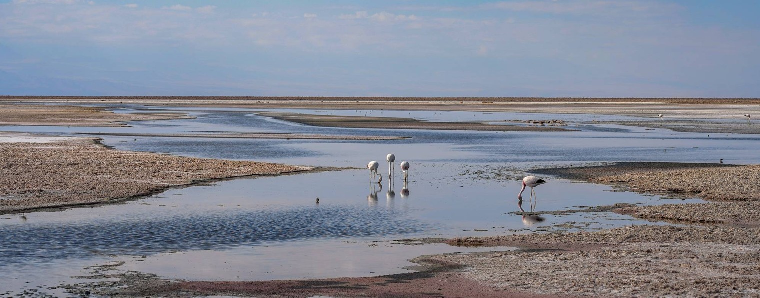 Евгений Ветров (Дар Ветер)