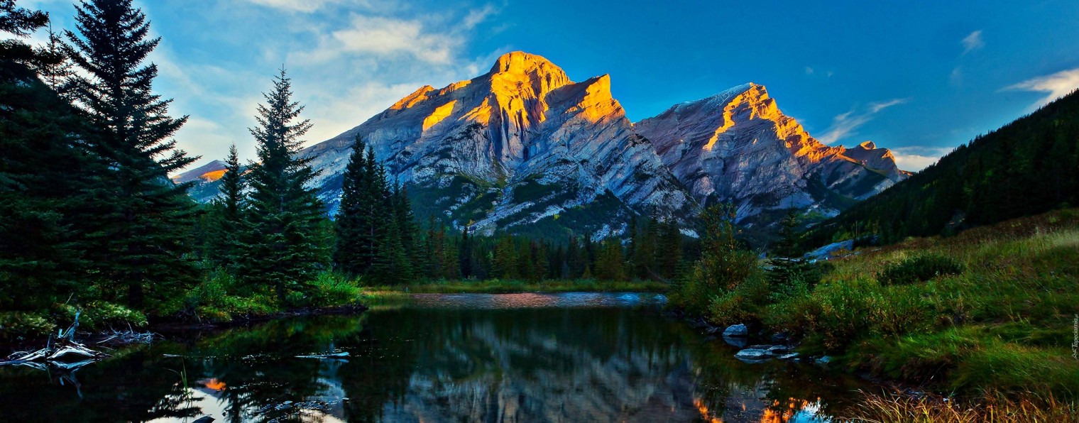 game  Konstantin  Kuzmenko  1993      Пульс геймер