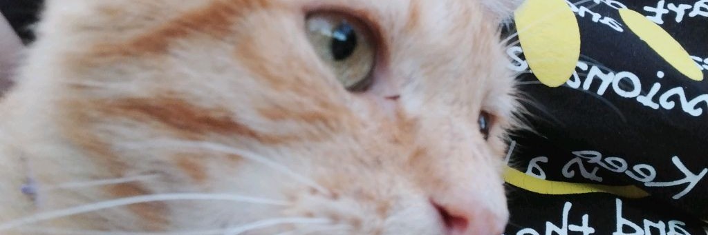 _Сборка Лего_