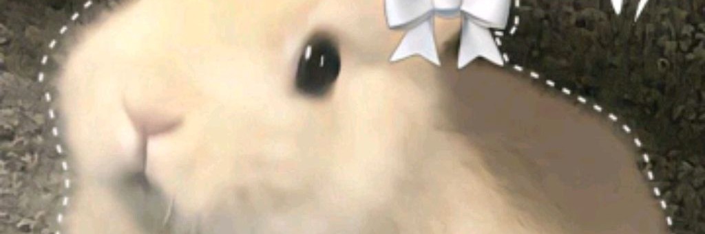 °🪻LavenderOfficial🪻°