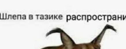Timka play