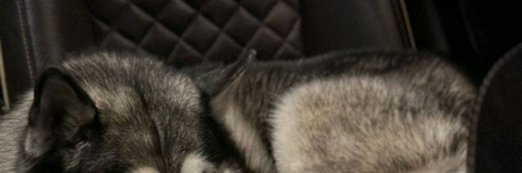 Житейские Мудрости