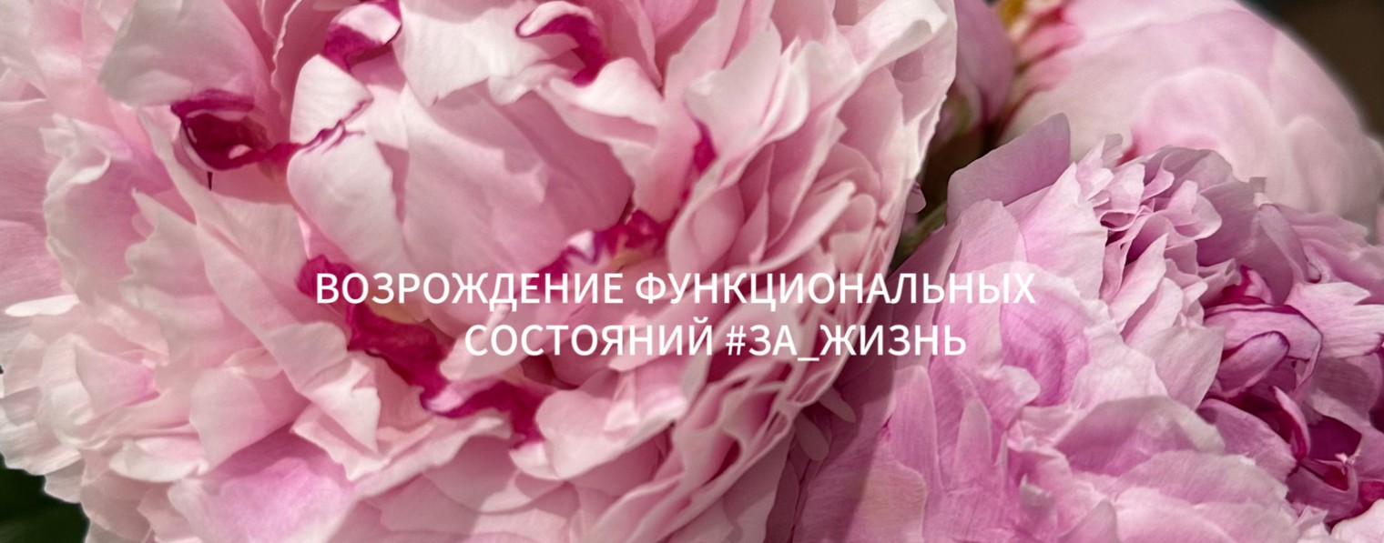 ПРООБРАЗ ЖИЗНИ