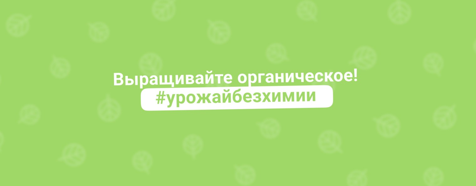Экодачник