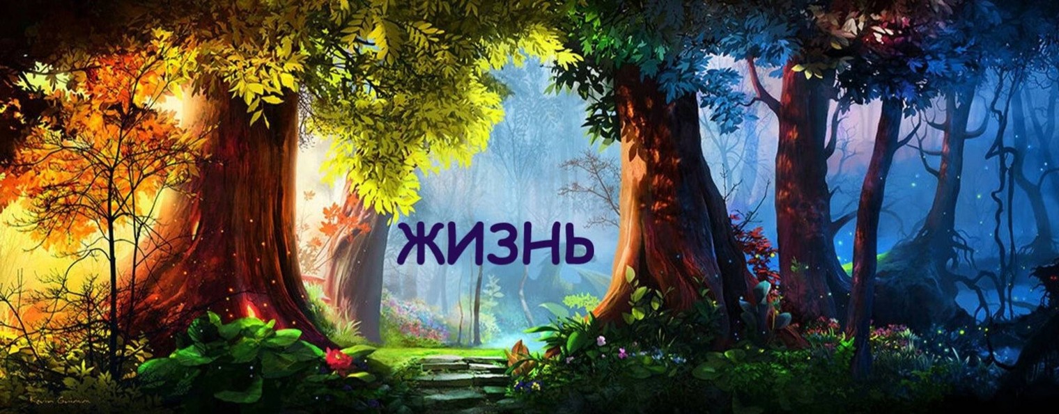 ДИВЕРГЕНТ