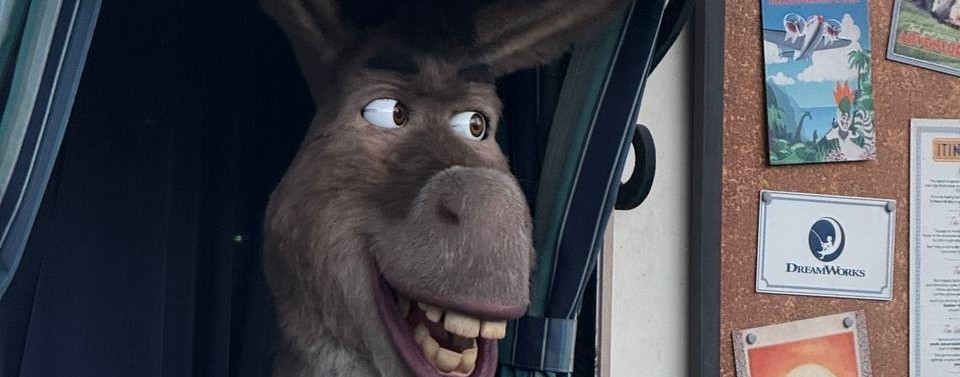 Шоу в тока Бока