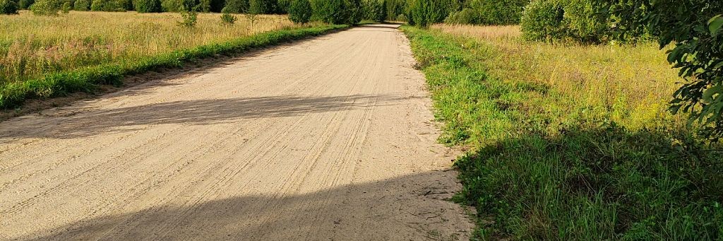 Дачные радости