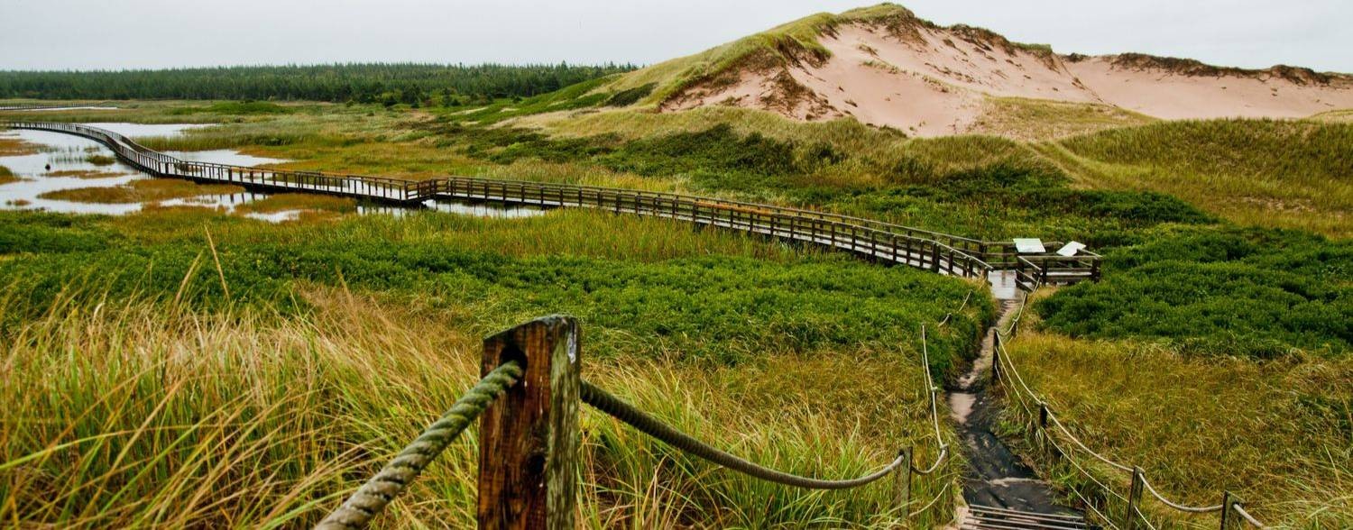 Природа и Путешествия.