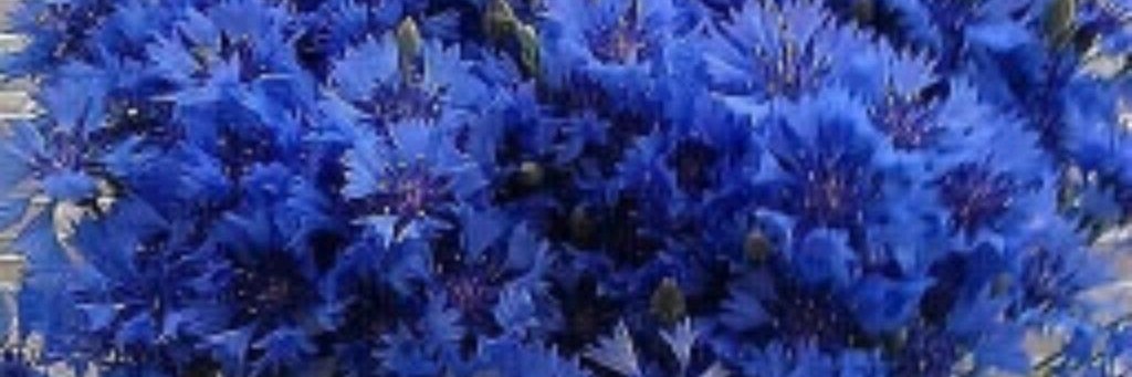 Не ругай себя,ты просто хотела быть счастливой.