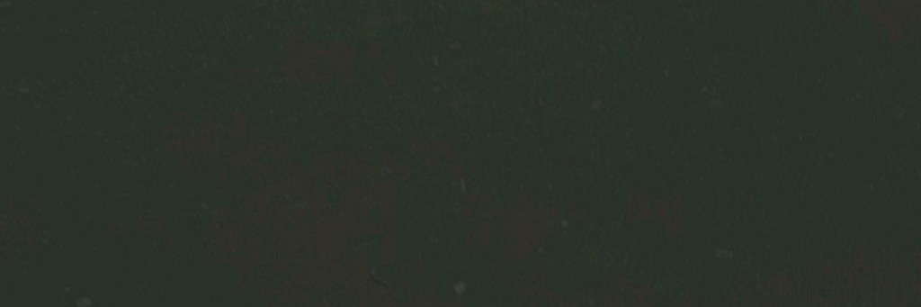 Золотая Свинка