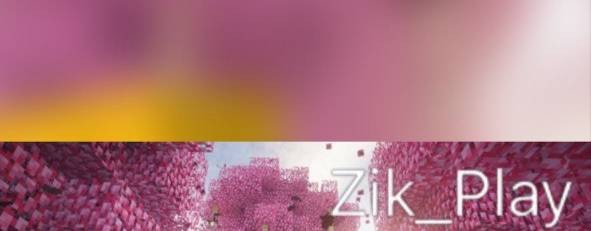 Zik_Play