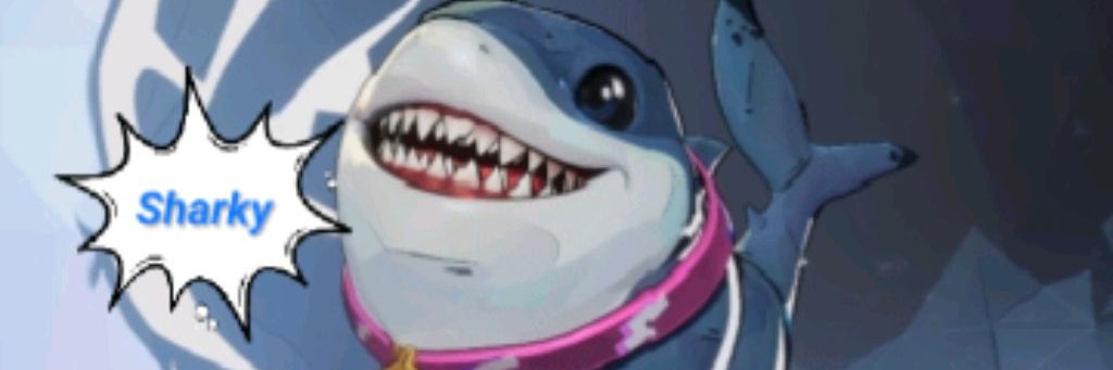Sharky