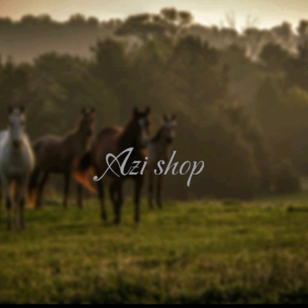 Azi shop