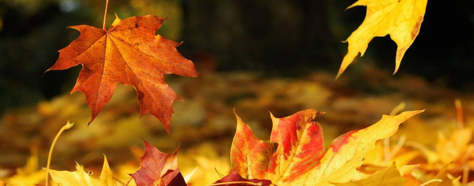 Дарья Мессинёва