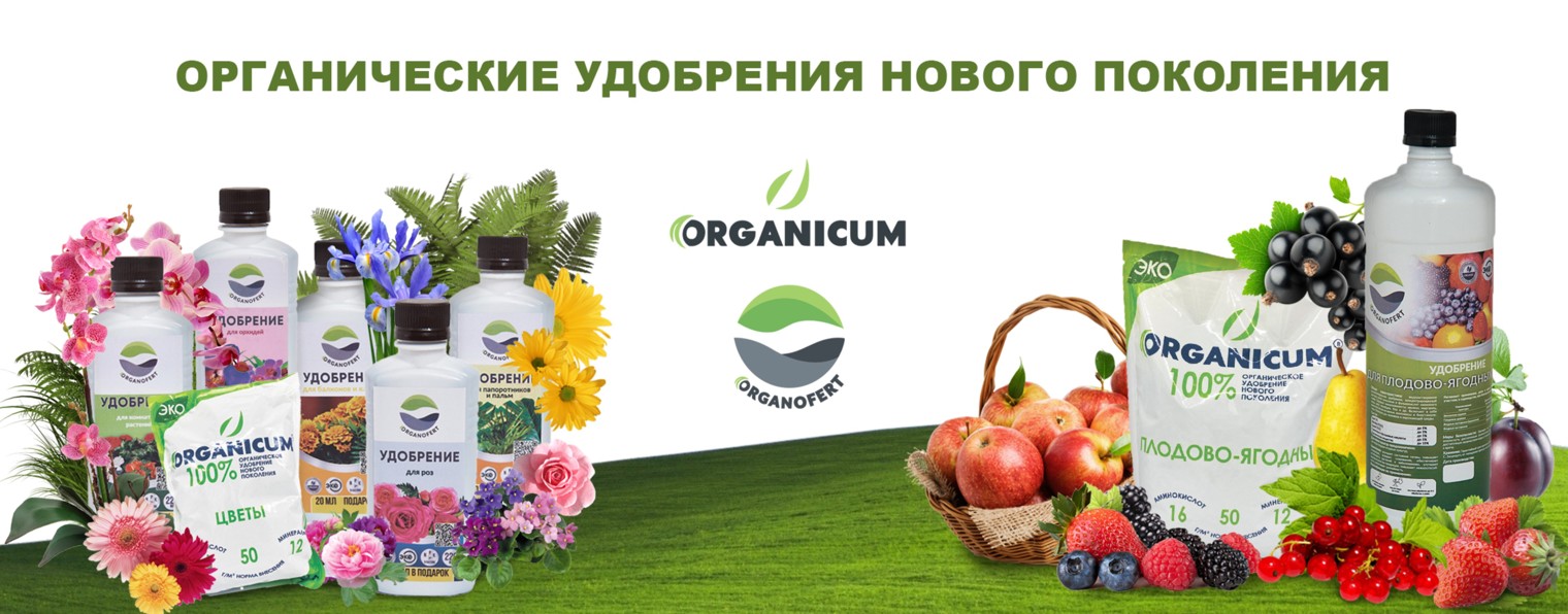 ORGANICUM