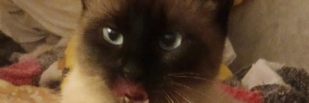 Крутой Ваня ✔️✅☑️