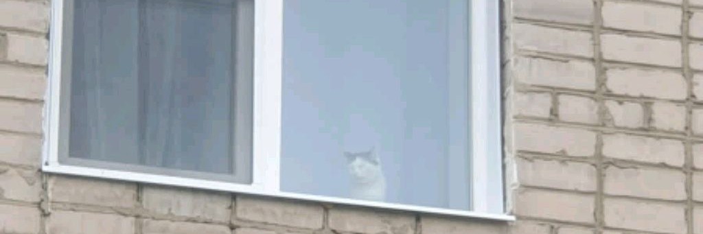 Фан Леры симки
