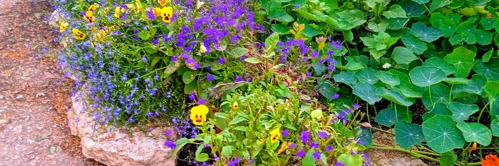 жизнь как она есть❤