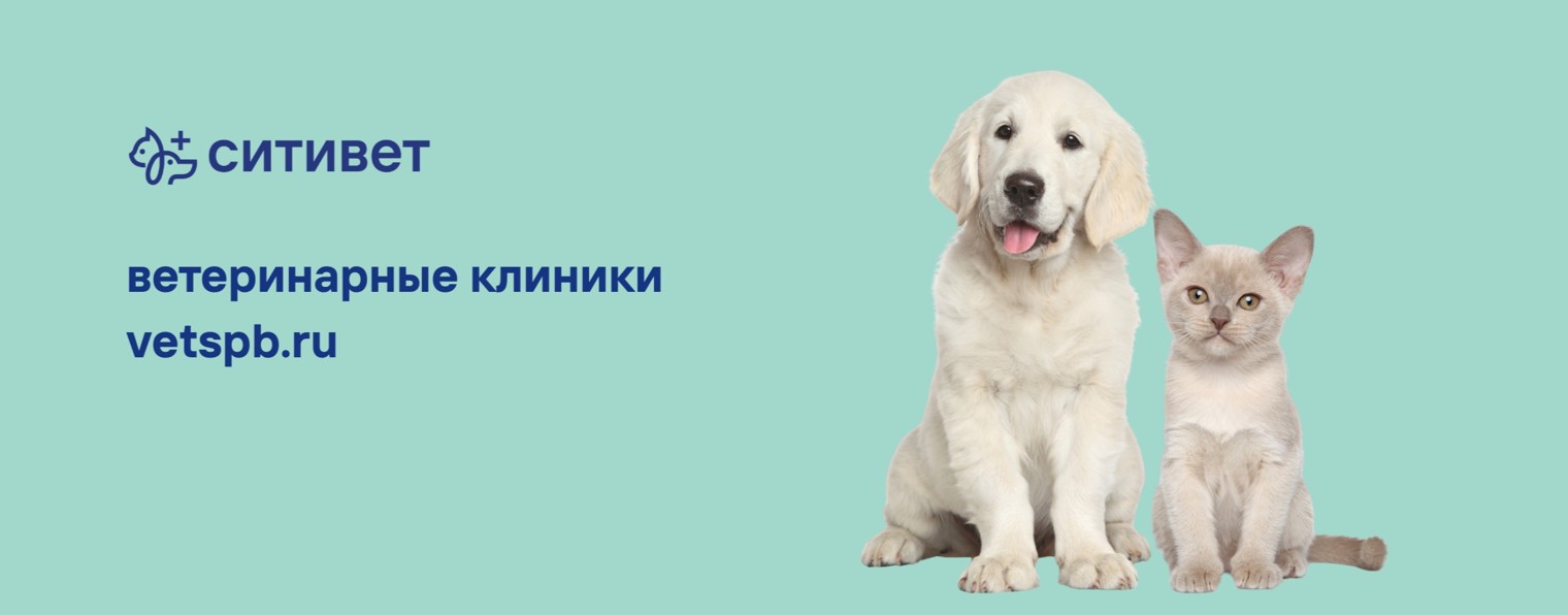 Ветеринарные клиники СитиВет