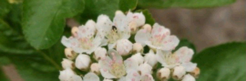 Всего Немного Для Себя