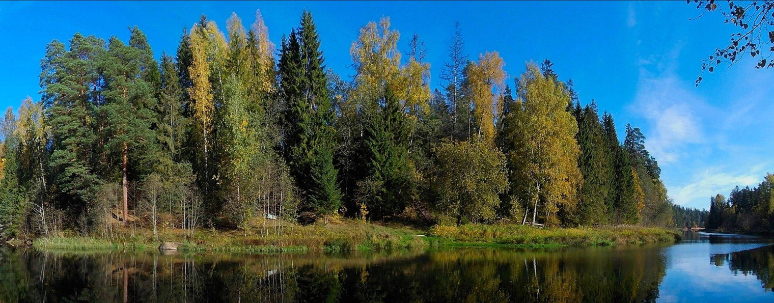 Алексей Лупашевский