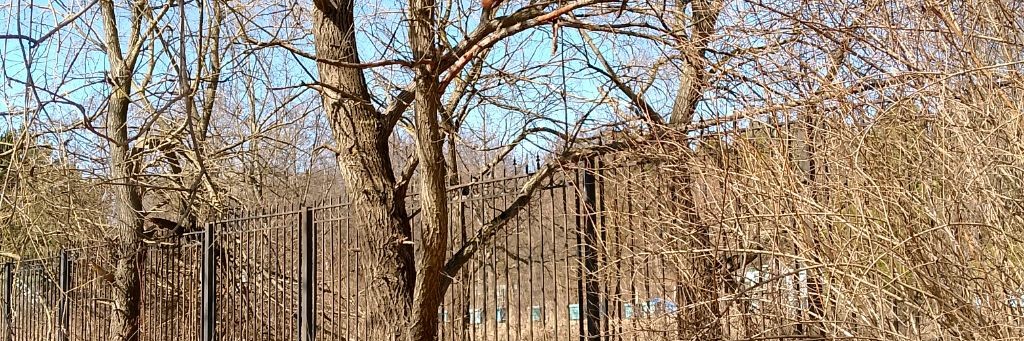 С попутным ветром