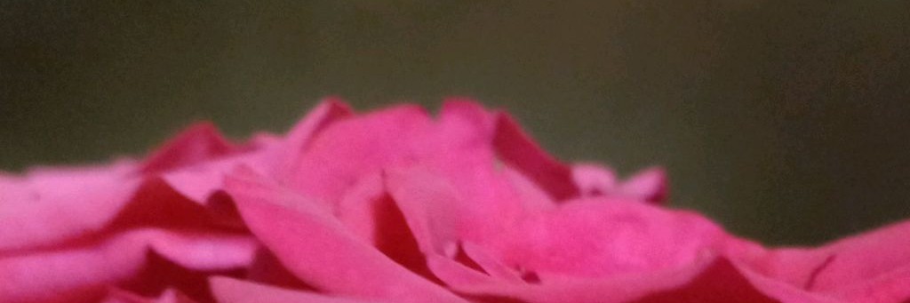 ✨Земляша✨