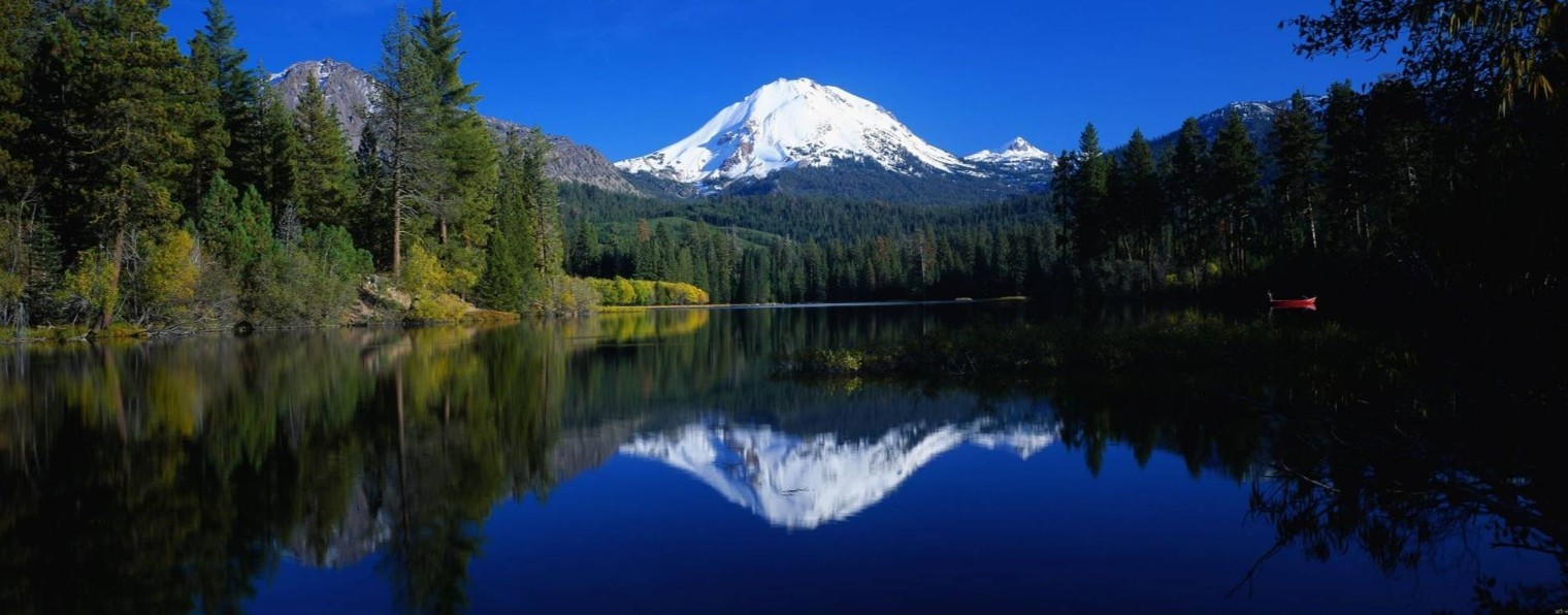 Алекс Дубец