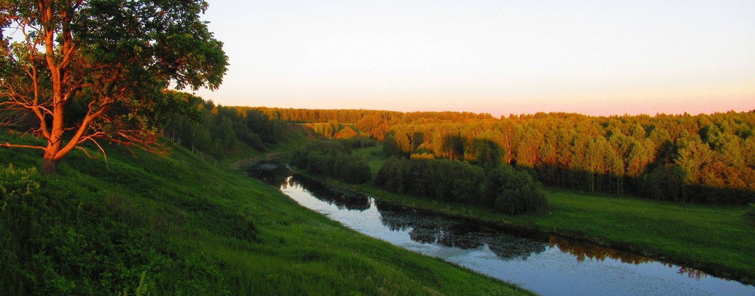 То в лес,то в поле.