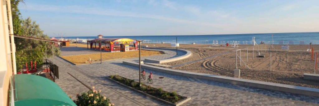 Шиншилла Life