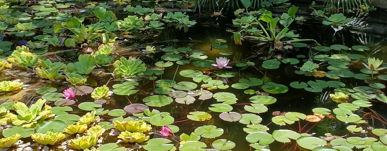 Иришка из Пензы