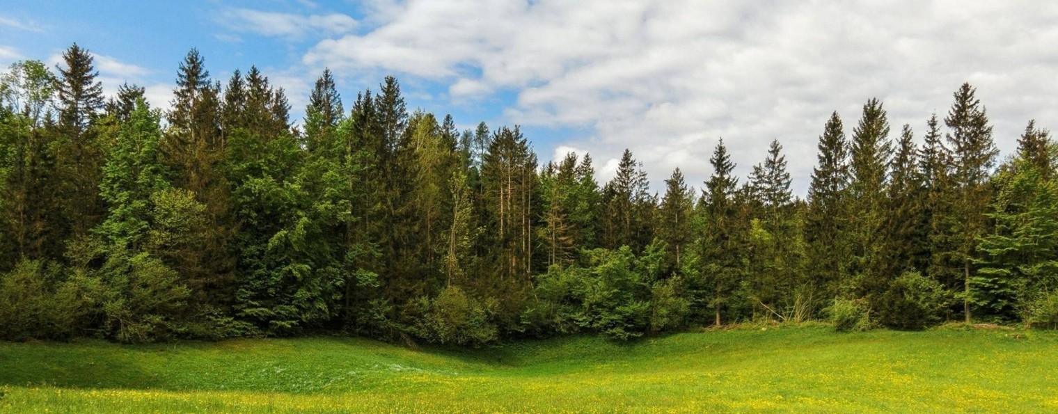 Недвижимость Подмосковья