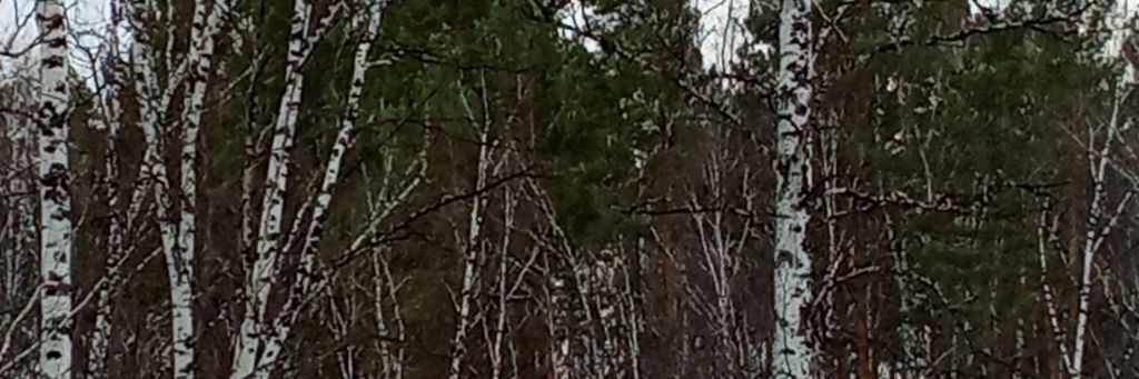 Саня Агапитов