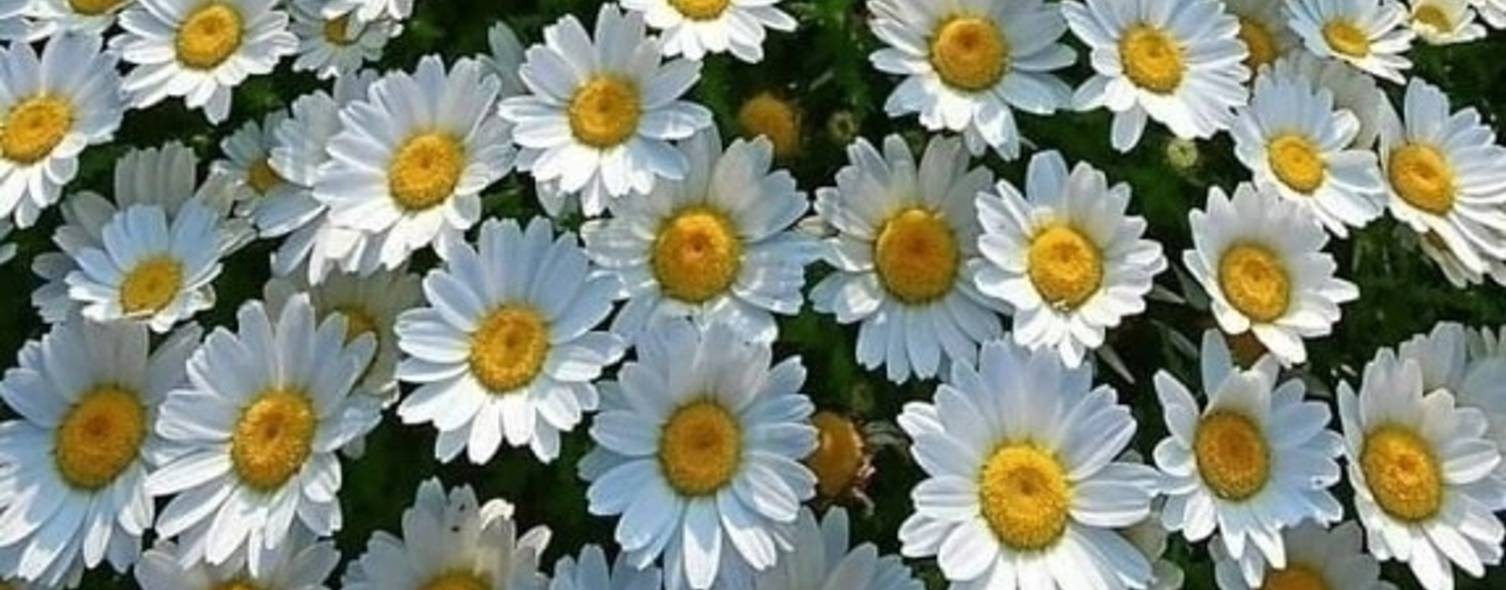 КсюшКины РукоДелки на Кольском Севере