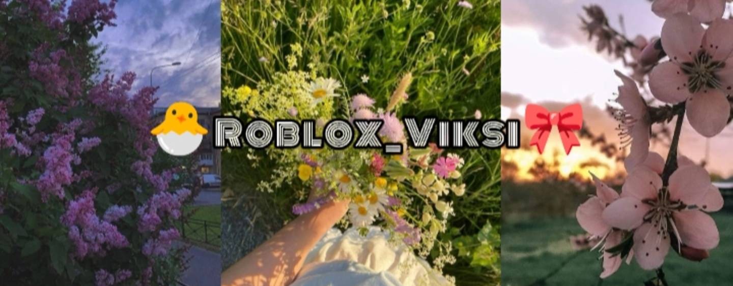 🐣RBX_Viksi🎀