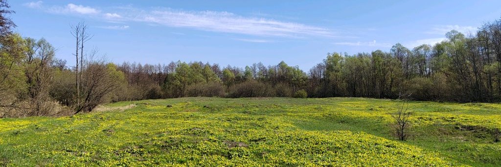 Из города в село