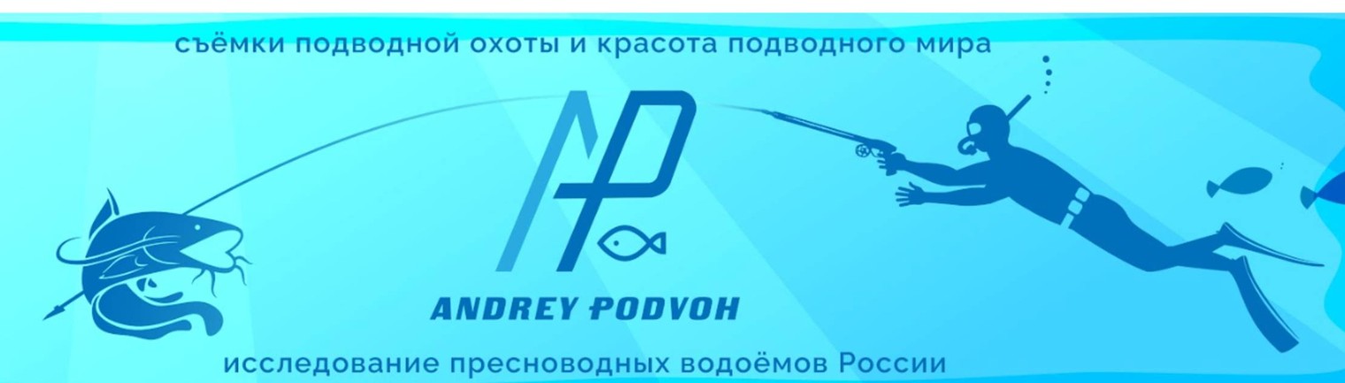 ANDREY PODVOH