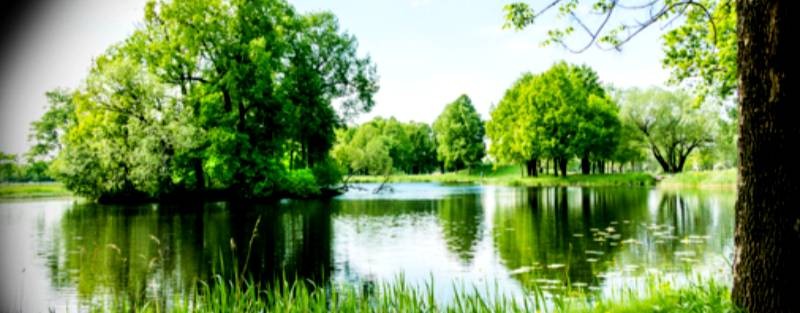 природа на rutube