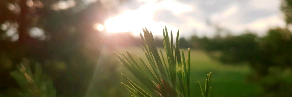 Мир на много интереснее, чем кажется!