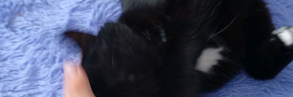 Локи. Стендоффер.