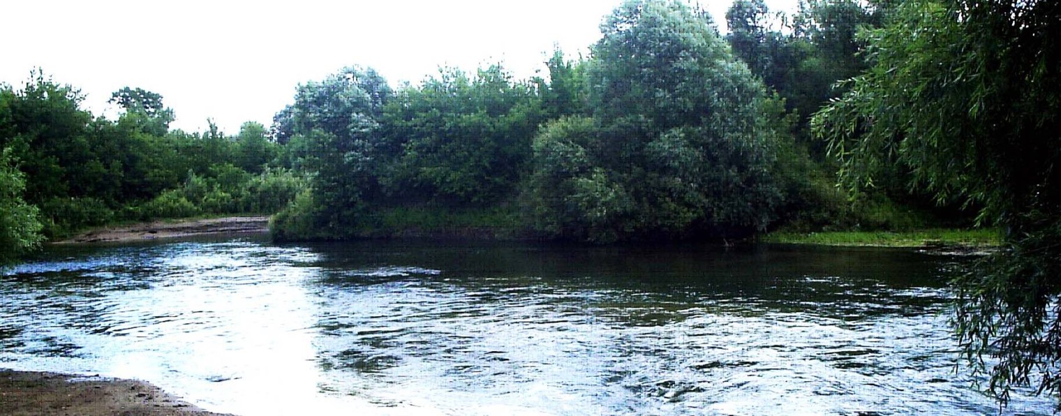 ViktorIn