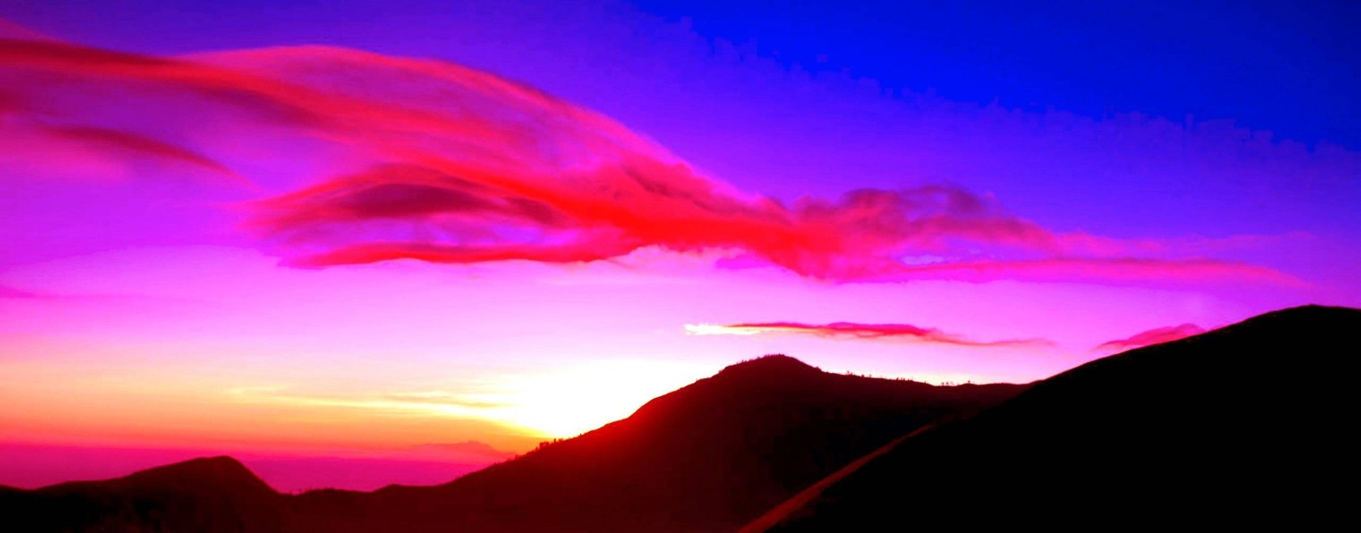 Алинка Мирная