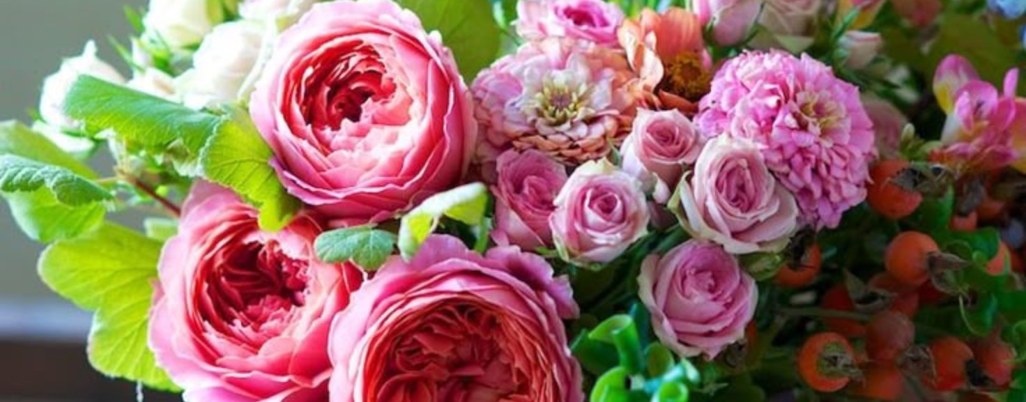 Животные в Глубинах Природы