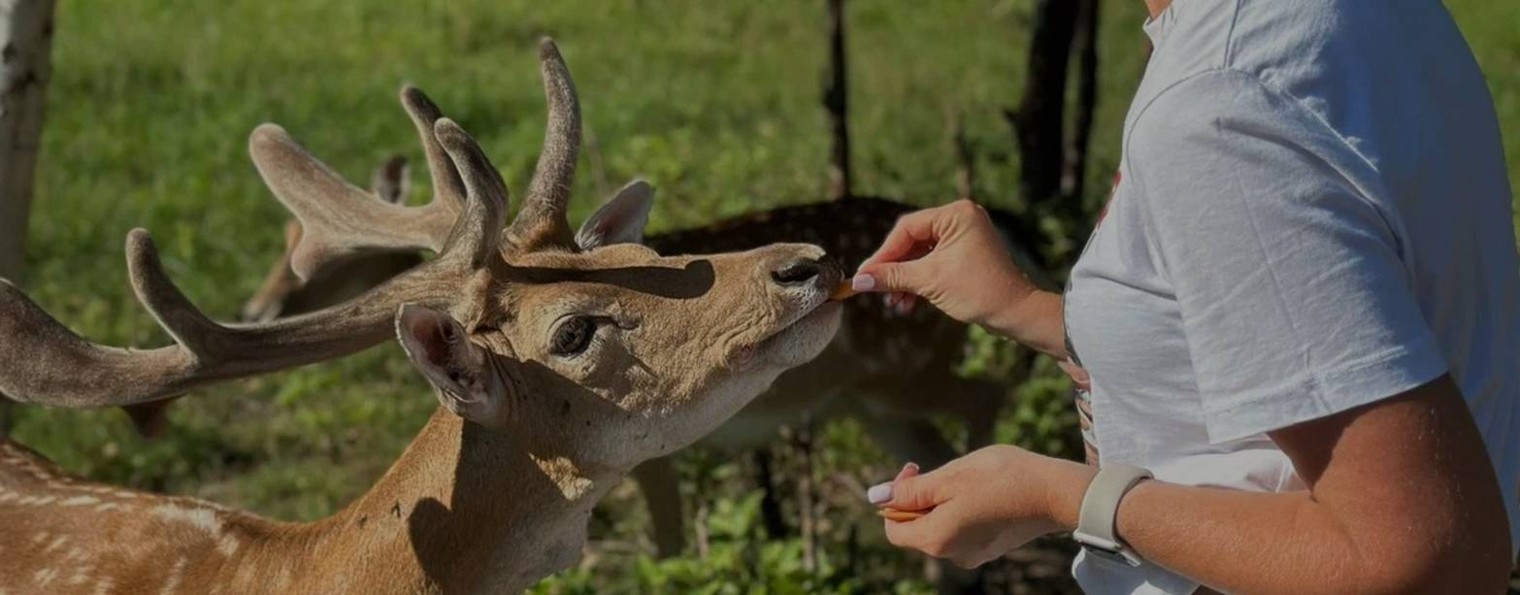 Парк животных и птиц "Тишь да Крышь"
