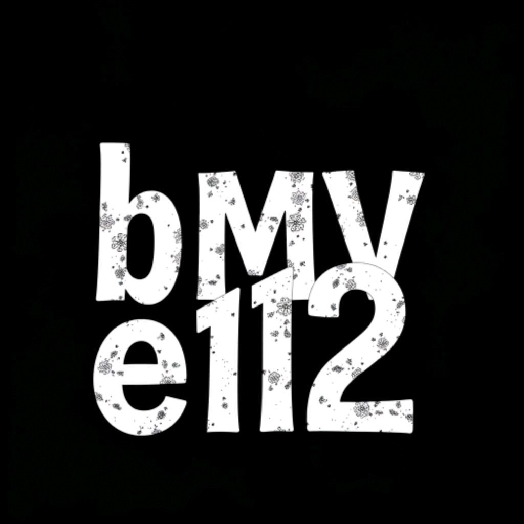Bmv E12